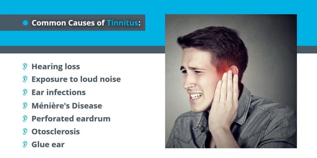 Causes Of Tinnitus Hearing Clinic Echo Audiology